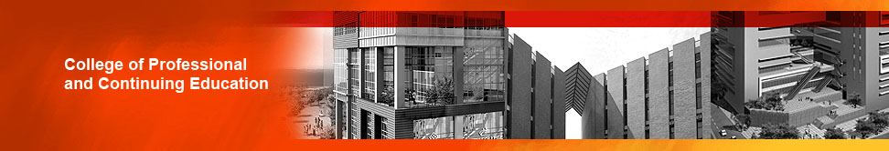 College of Professional and Continuing Education